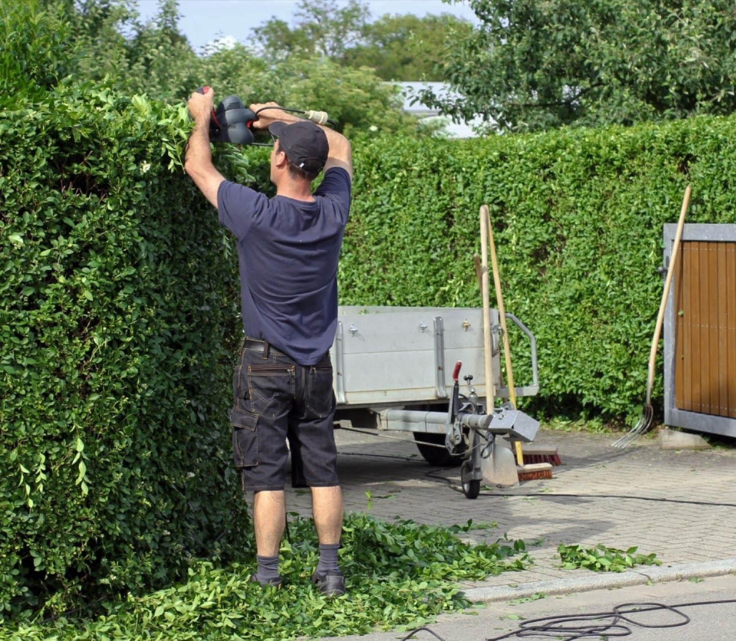 Home - Lawn Mowing Service and Tree Care in Connecticut | KB Lawn and Tree