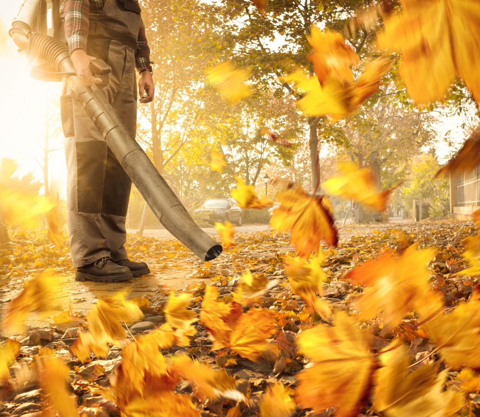 Home - Lawn Mowing Service and Tree Care in Connecticut | KB Lawn and Tree