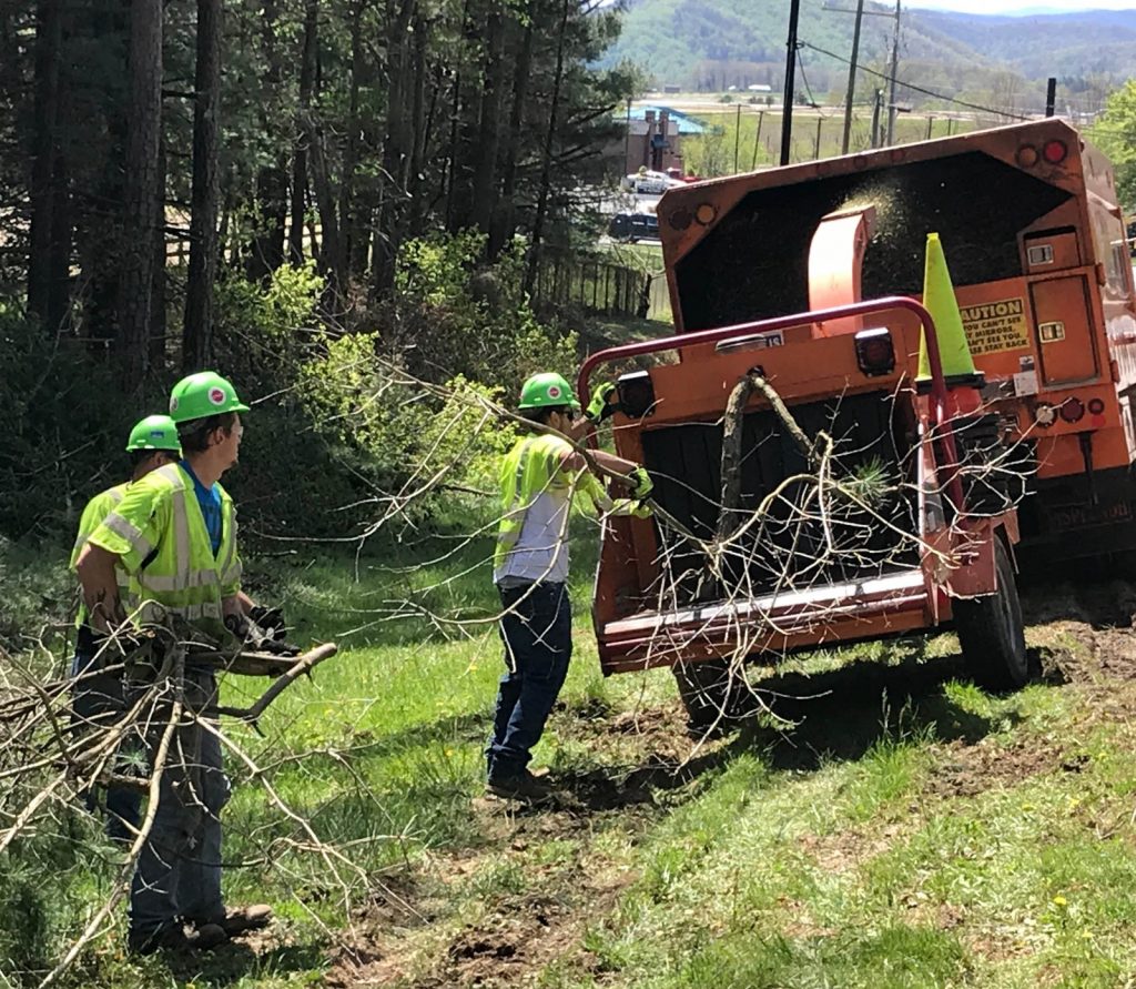 Home - Lawn Mowing Service and Tree Care in Connecticut | KB Lawn and Tree